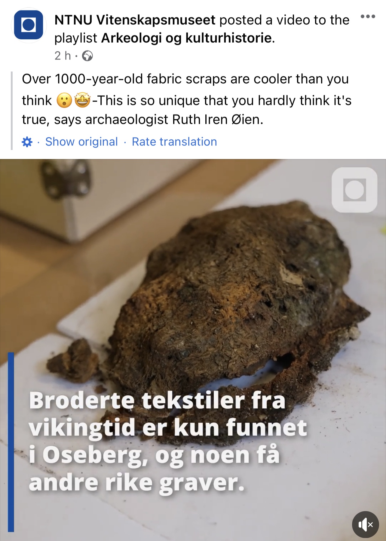 Viking textile with embroidery discovered – Dr Alexandra Makin